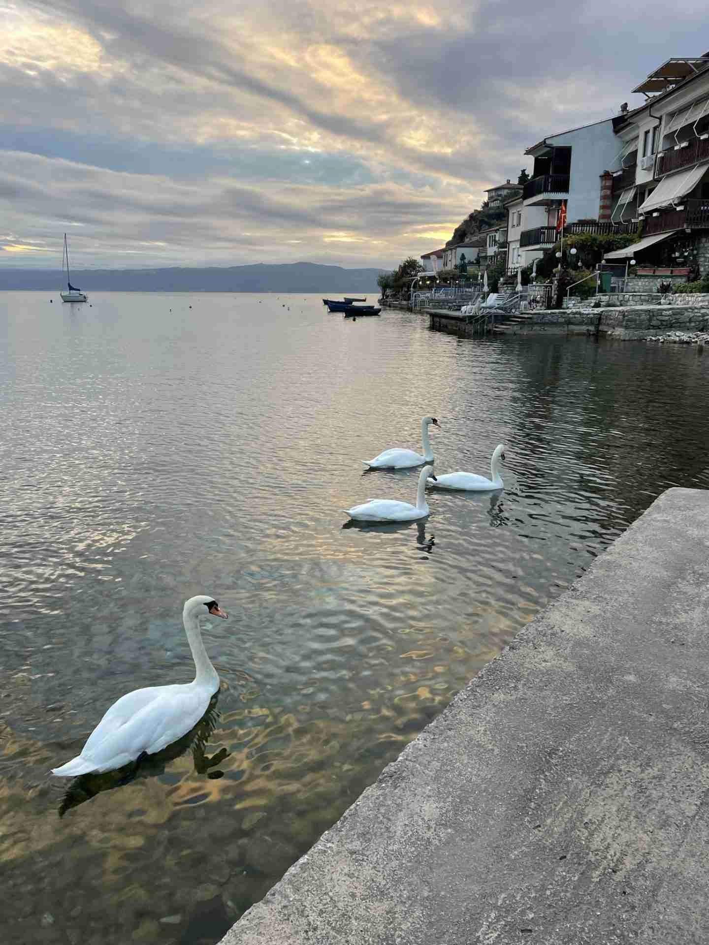 Che Fare A Ohrid, La Perla Della Macedonia Del Nord